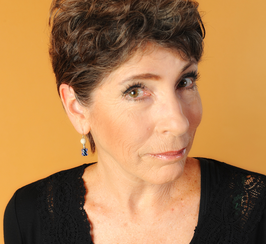“Place as Answer: HGTV” by Joan Frank – Another Chicago Magazine