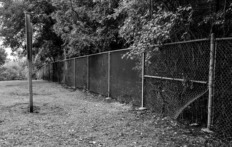 “I am a lobster” by Meagan Perry – Another Chicago Magazine