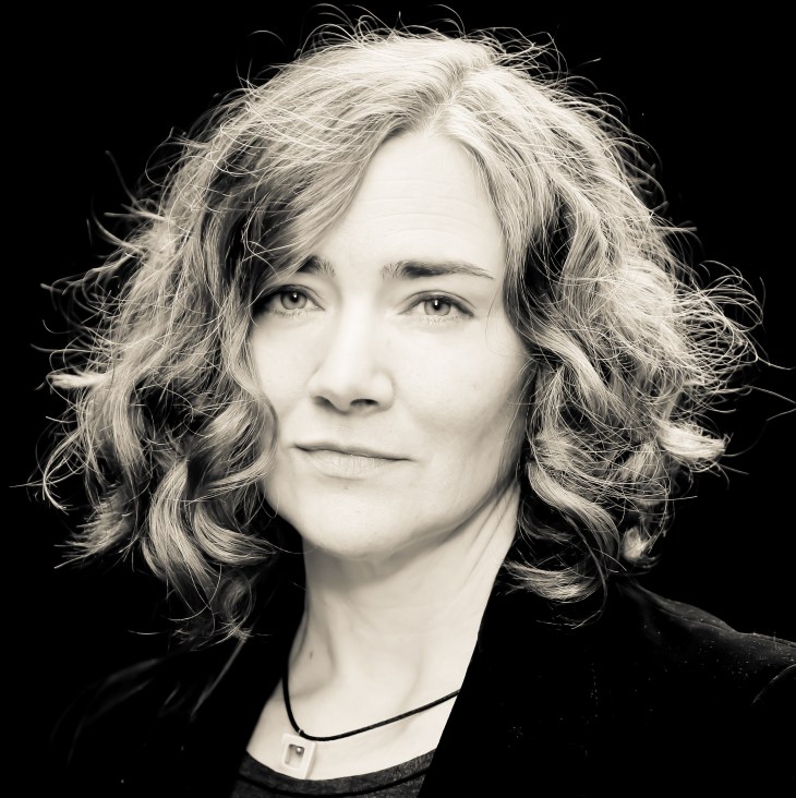“Evidence of V” by Sheila O’Connor – Another Chicago Magazine