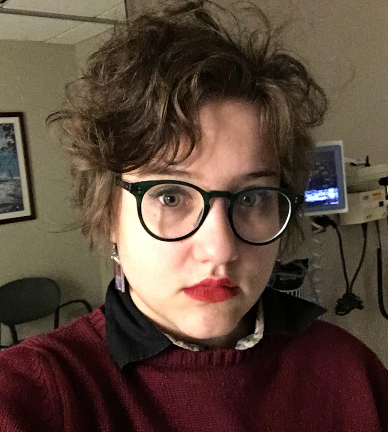 “Dispatch from a Pandemic: Chicago” by Alexandra Weiss – Another ...