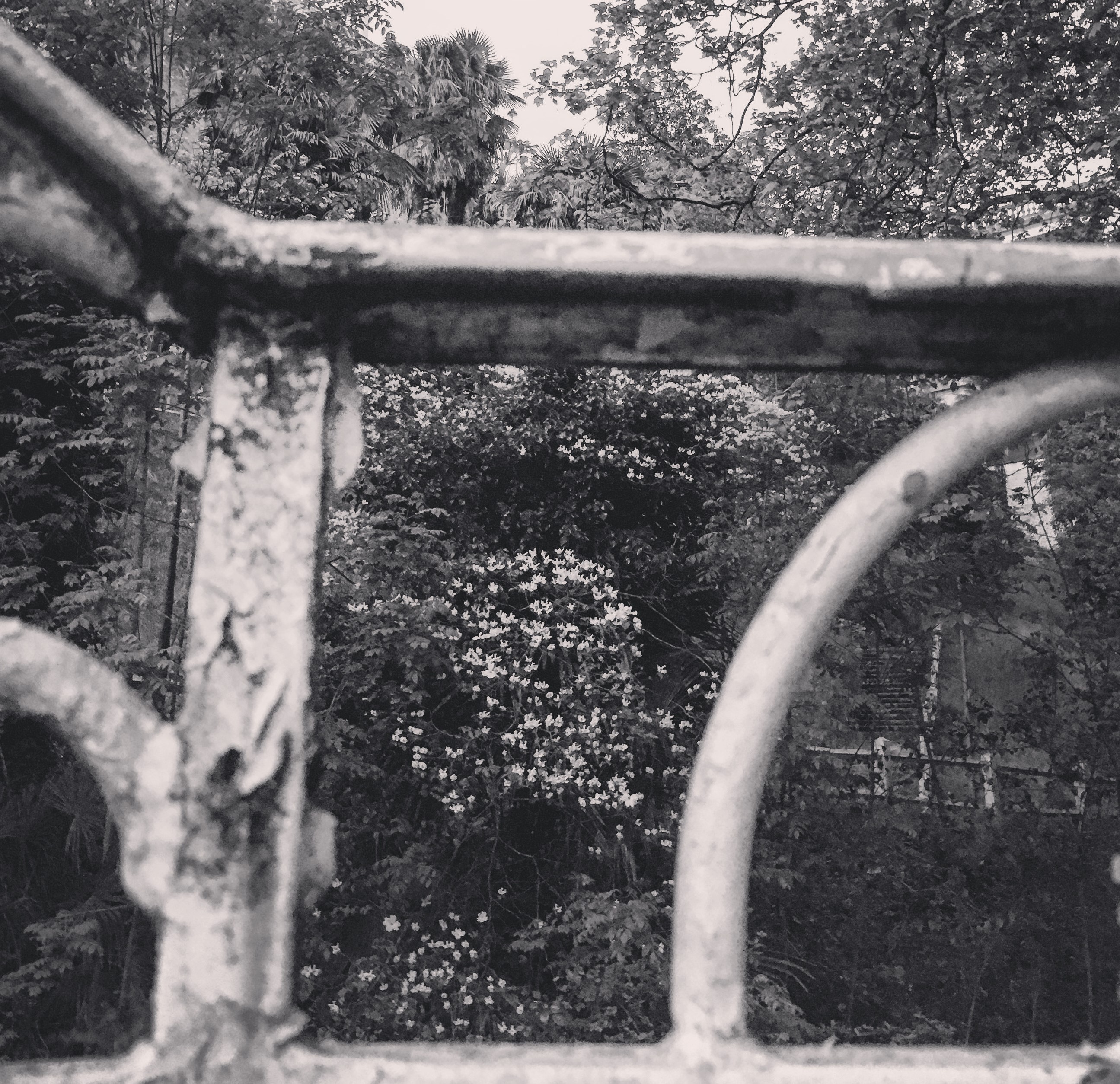 “Dispatch from a Pandemic: Pau, France” by Kami L. Rice – Another ...