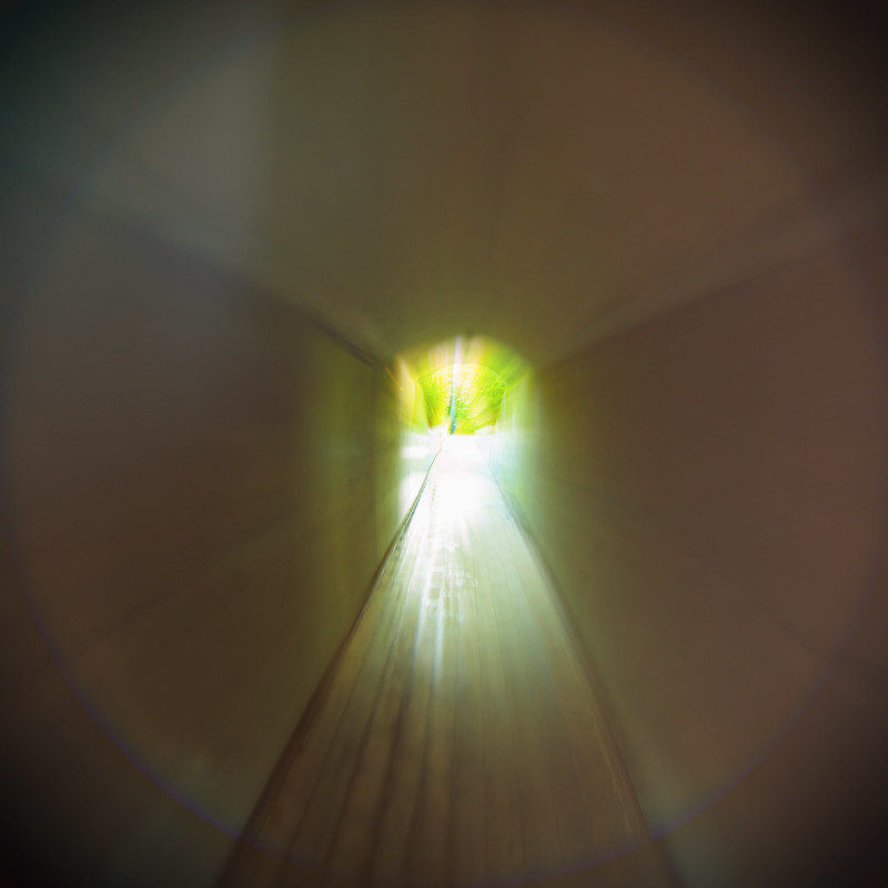 “This Longing” by Sharon Dolin – Another Chicago Magazine