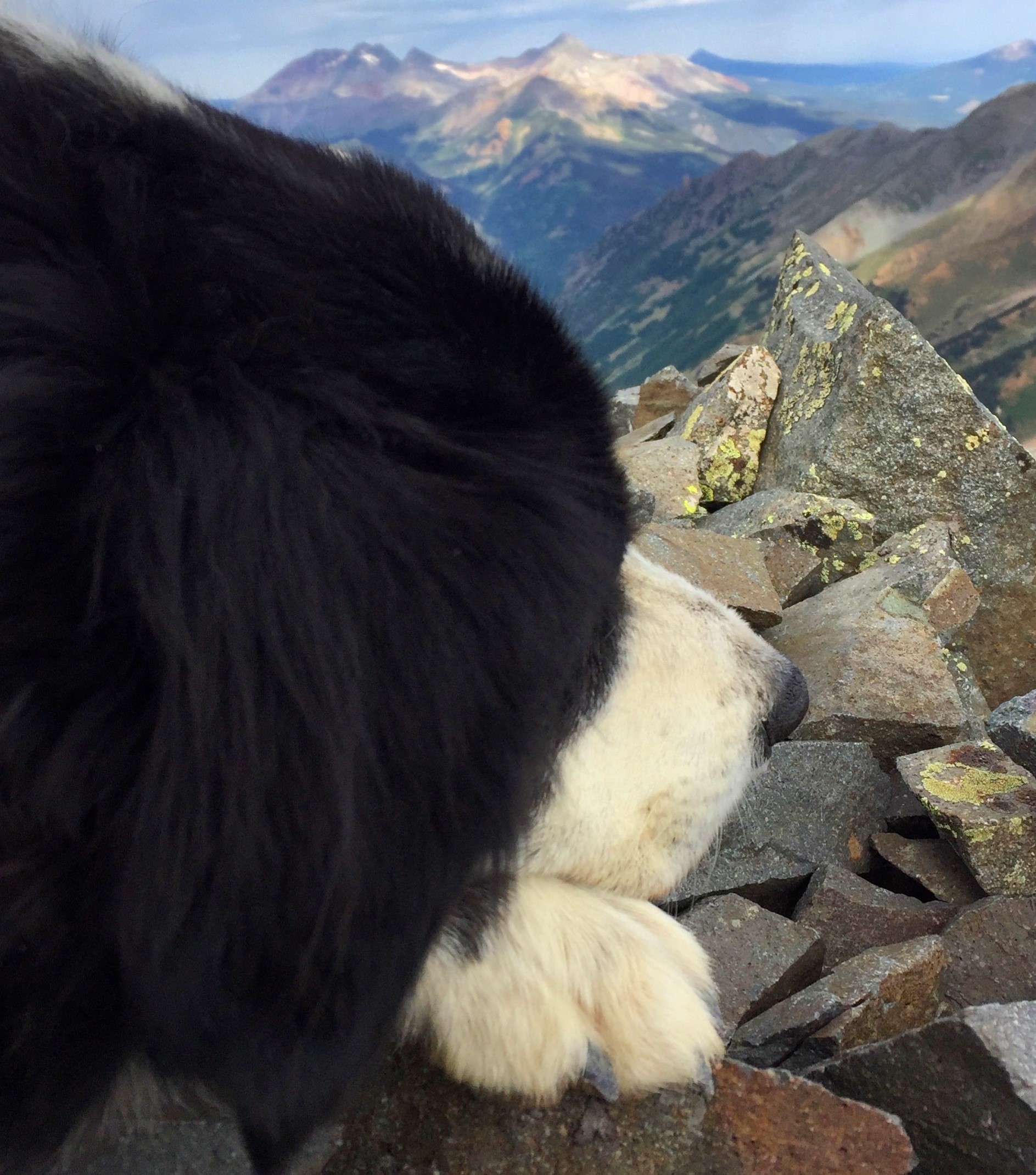 “Thirst” by Allison Snyder Kingsley – Another Chicago Magazine