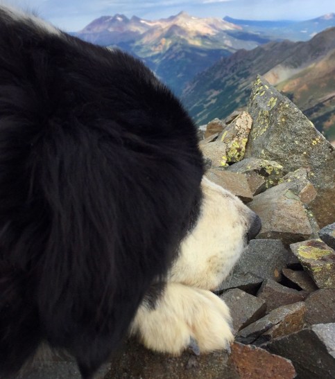 “Thirst” by Allison Snyder Kingsley – Another Chicago Magazine