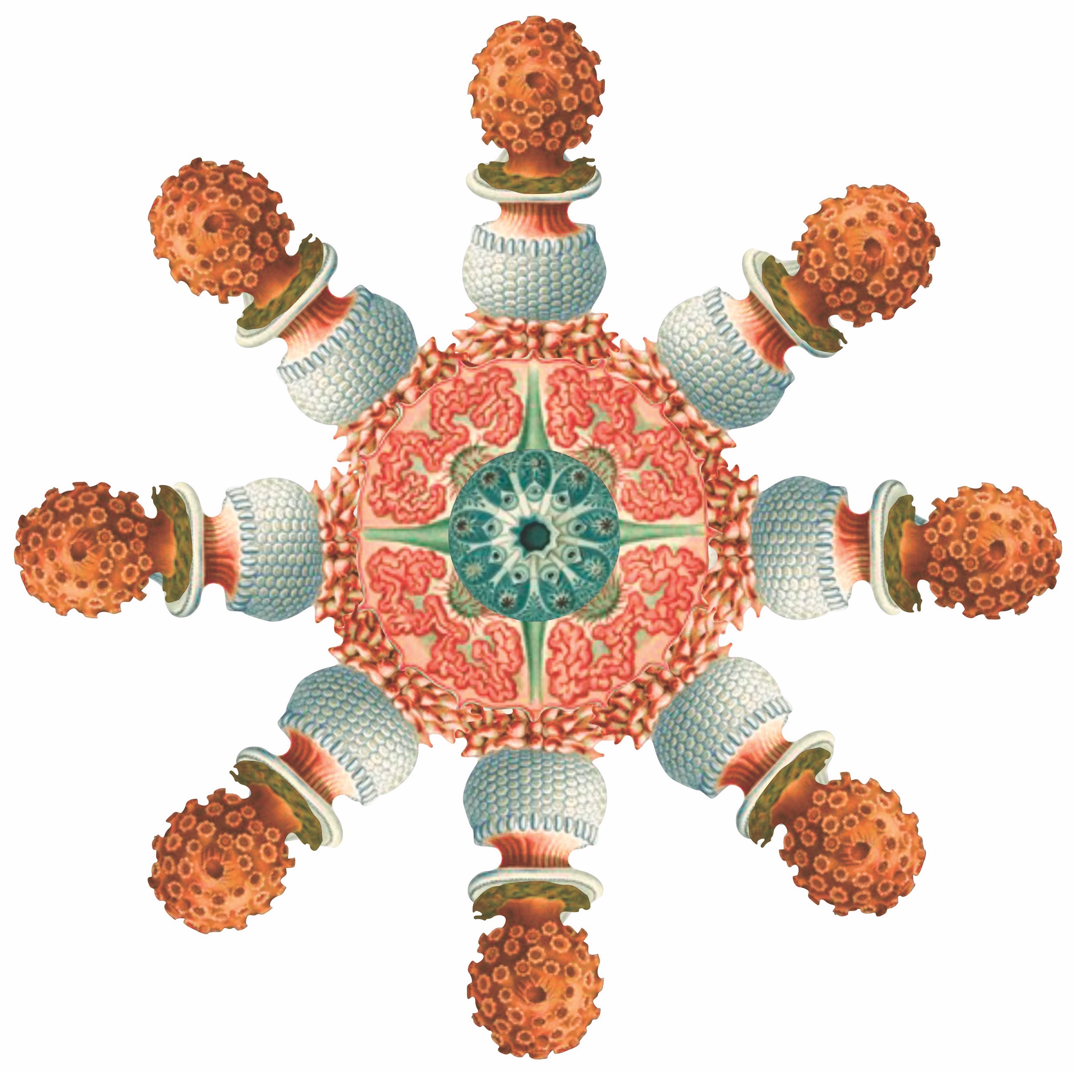 Ritual – Another Chicago Magazine