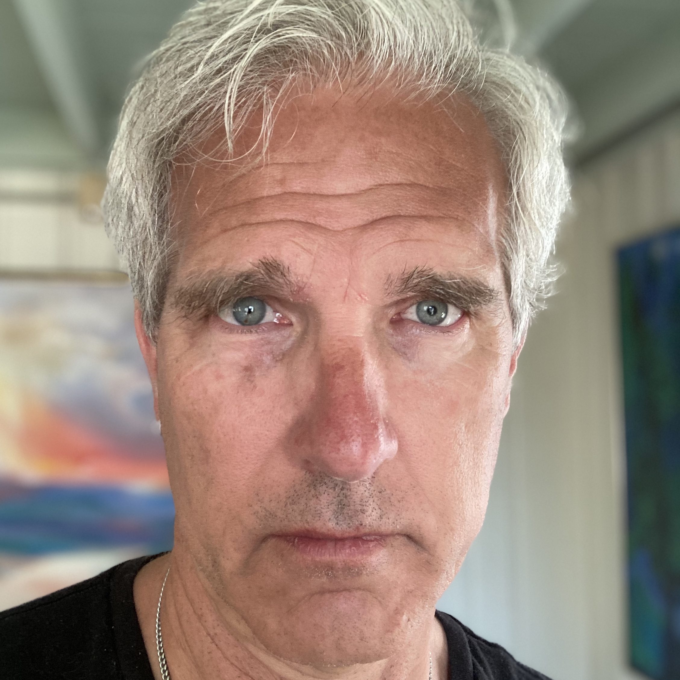 “My Neighbor Cleans His Gutters” by Dan Roche – Another Chicago Magazine